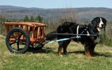 Hay Carts and Wagons and Buckboards - Hay Wagon With Sleigh Runners ...